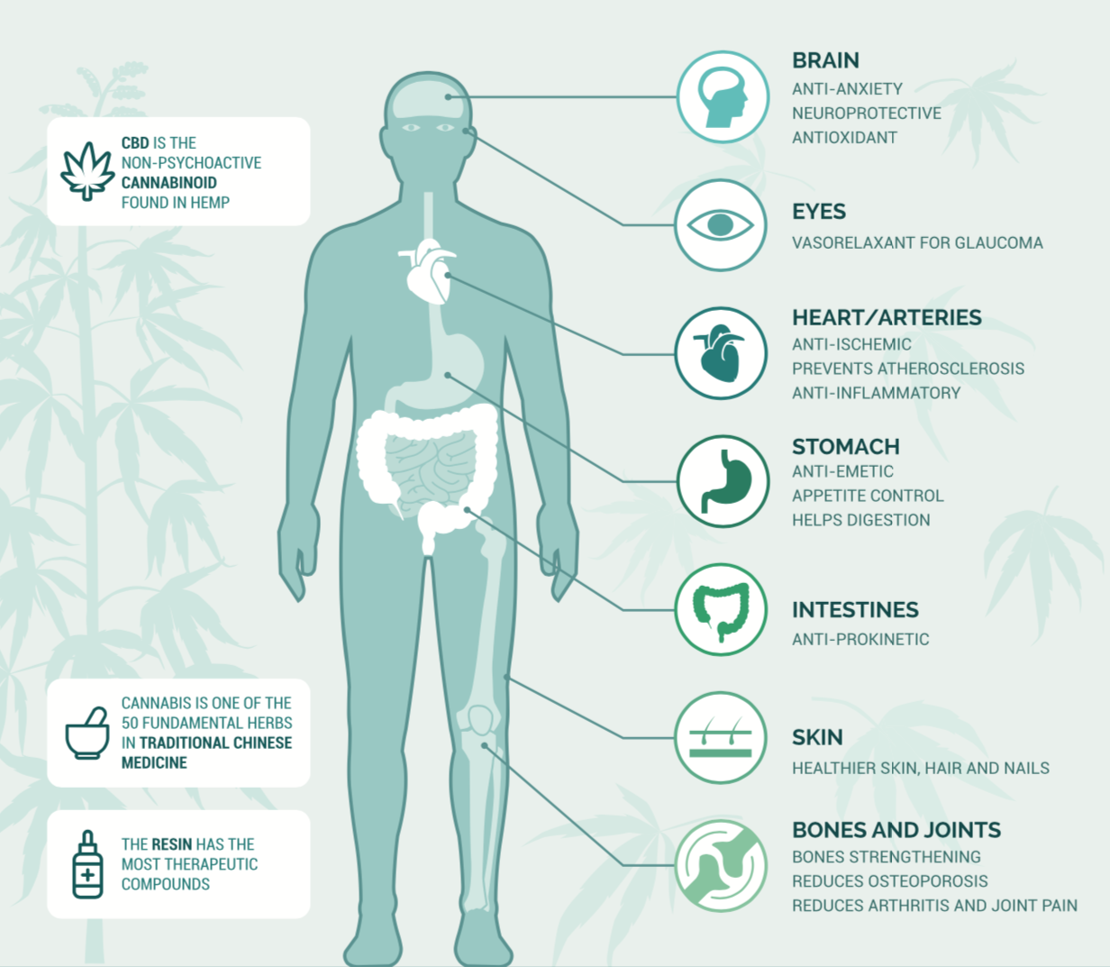 Chronic pain patients’ perspectives of medical cannabis - Sawasdee ...