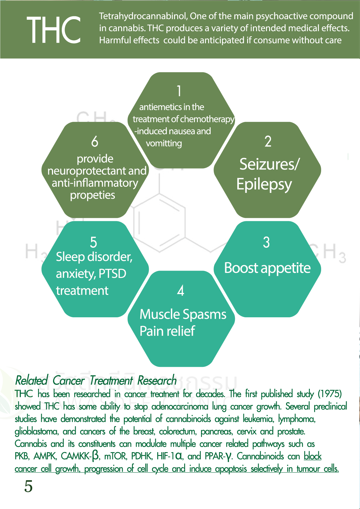 กัญชารักษาเรา Medical Cannabis (English version) - Sawasdee Clinic ...